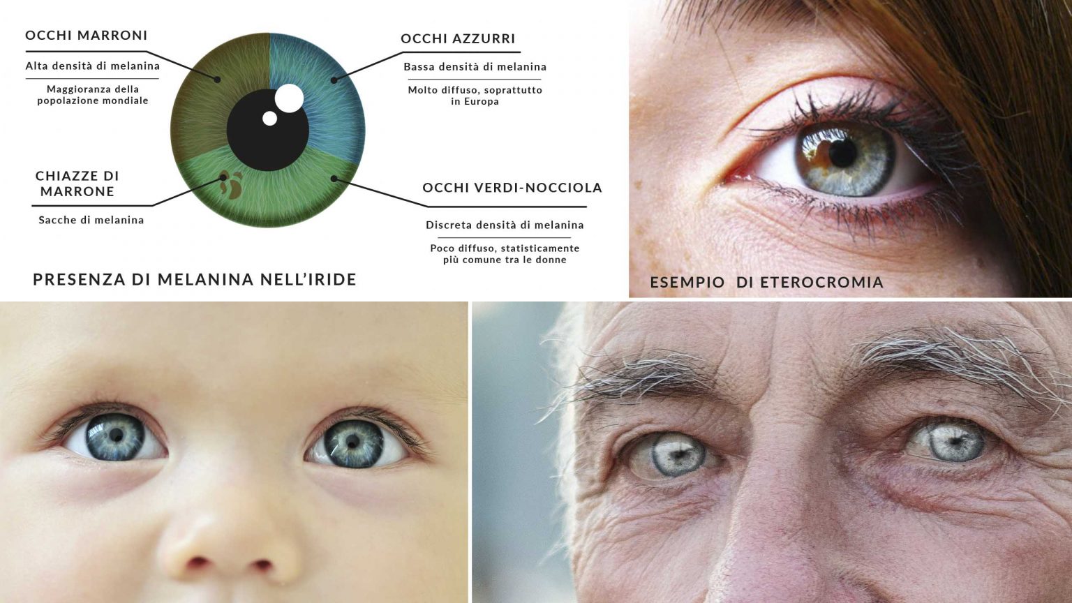 Il colore degli occhi in tutte le sue sfumature. - stileItaliano ...